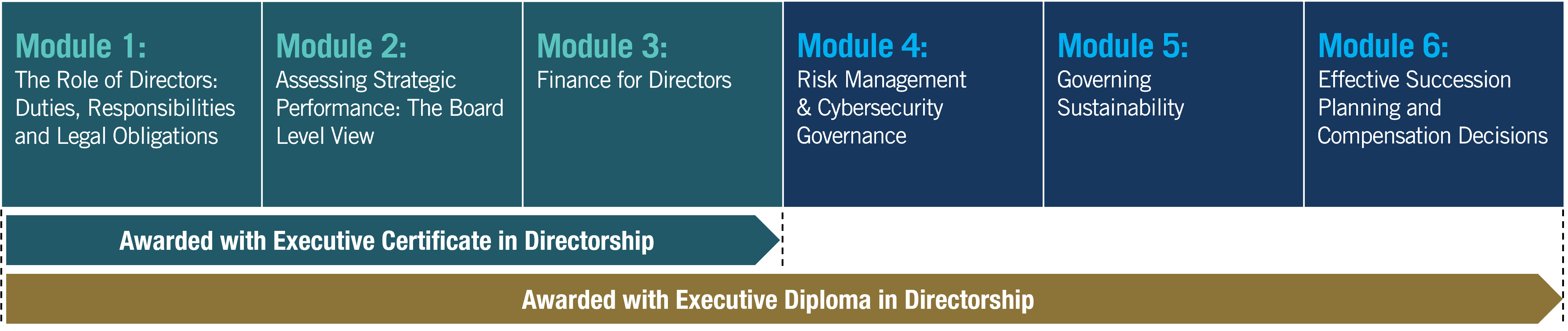 SMU-SID Directorship Programme | SMU Executive Development